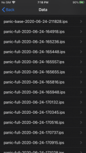 How to Check Hardware Issues on iPhone Using Panic.ips - Rapid Repair